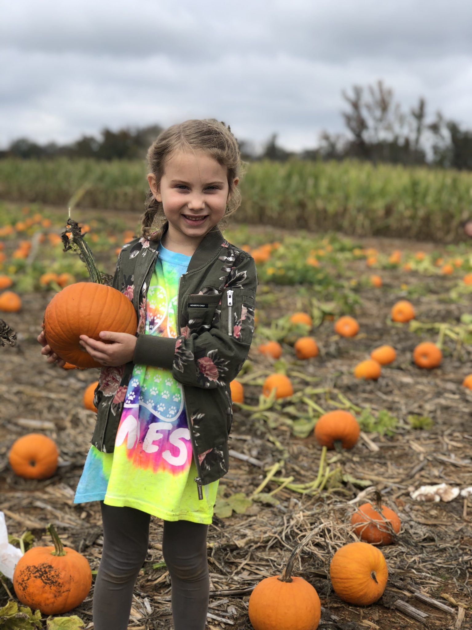 Slice of Life: November 25th, 2019 - Whimsical September