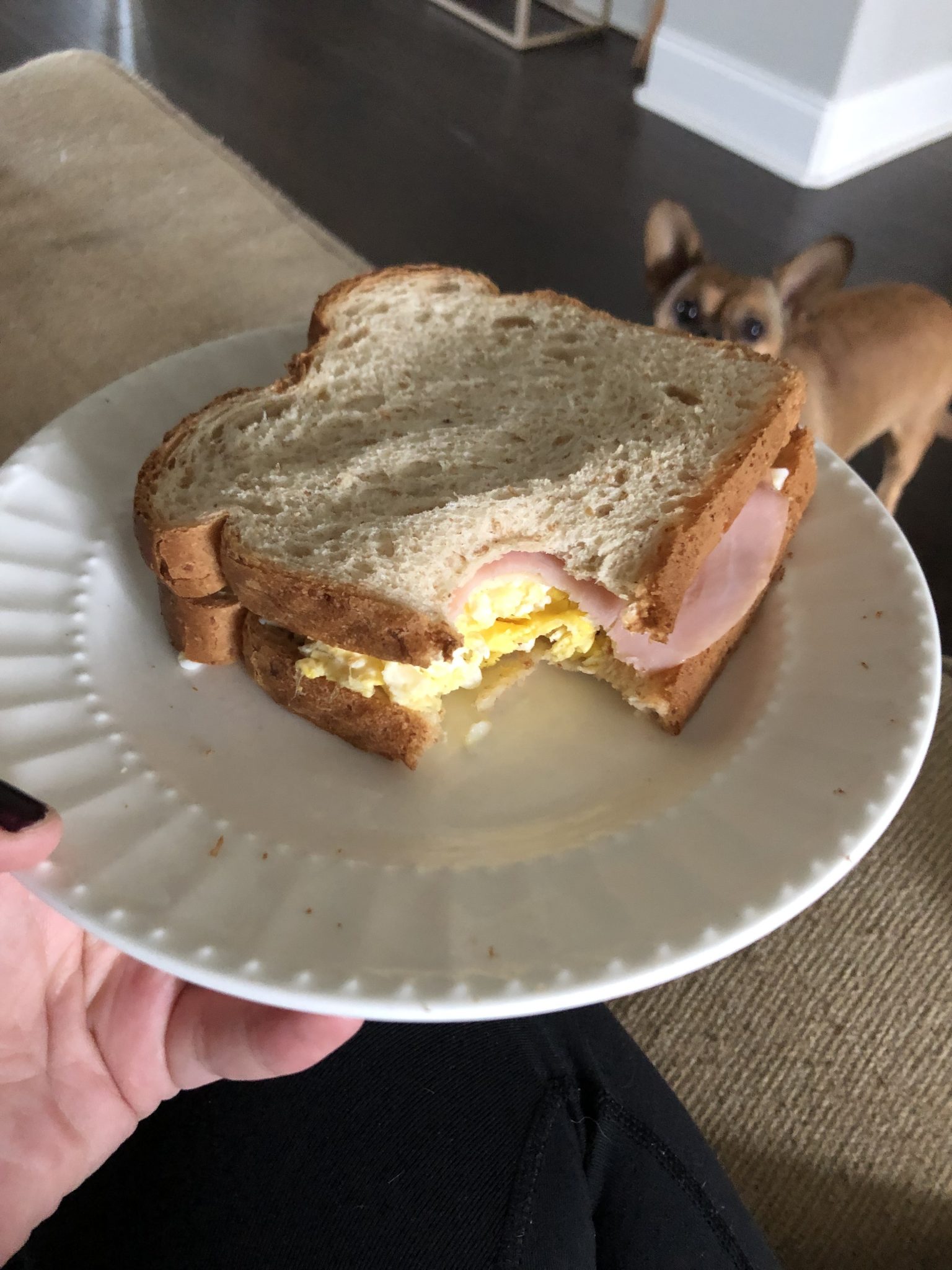 A Day in the Life #11: November 4th, 2019 (almost 6, 3.5, and 3.5 ...