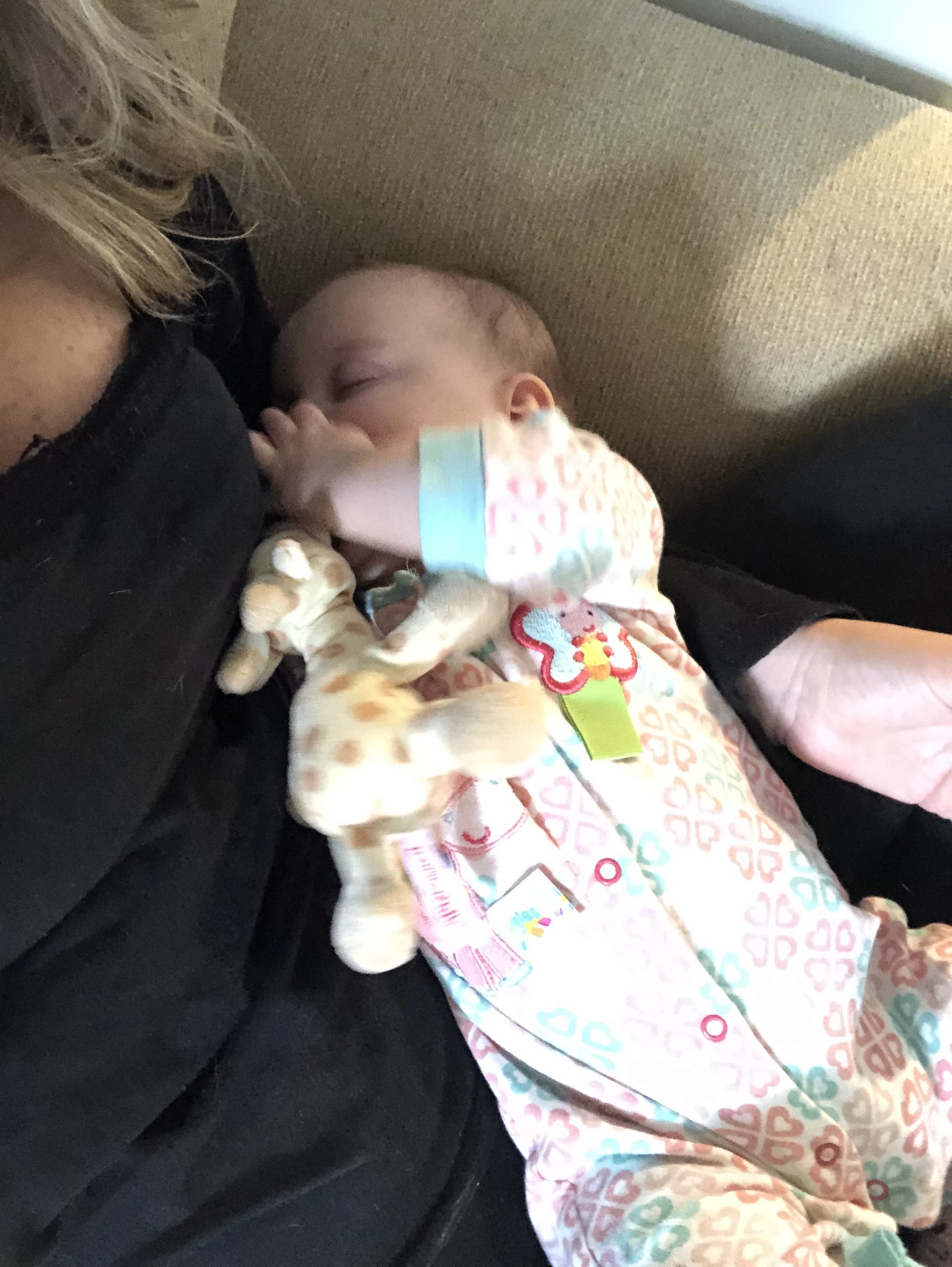 A Day in the Life #11: November 4th, 2019 (almost 6, 3.5, and 3.5 ...